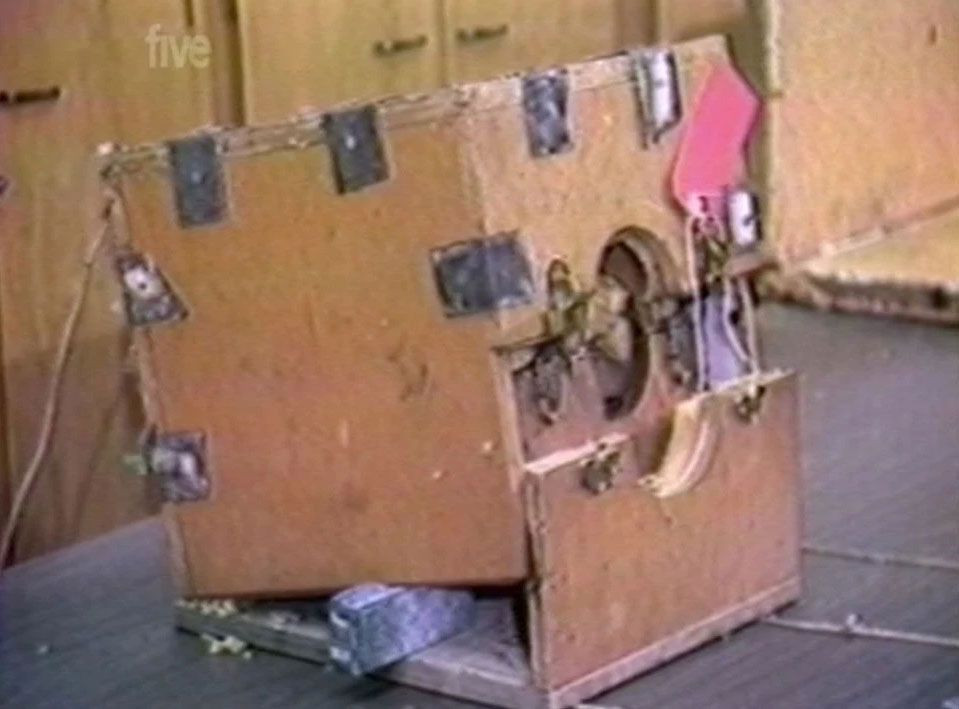 Colleen Stan 7 yıl boyunca yatağın altında tabutta tutuldu, defalarca ...